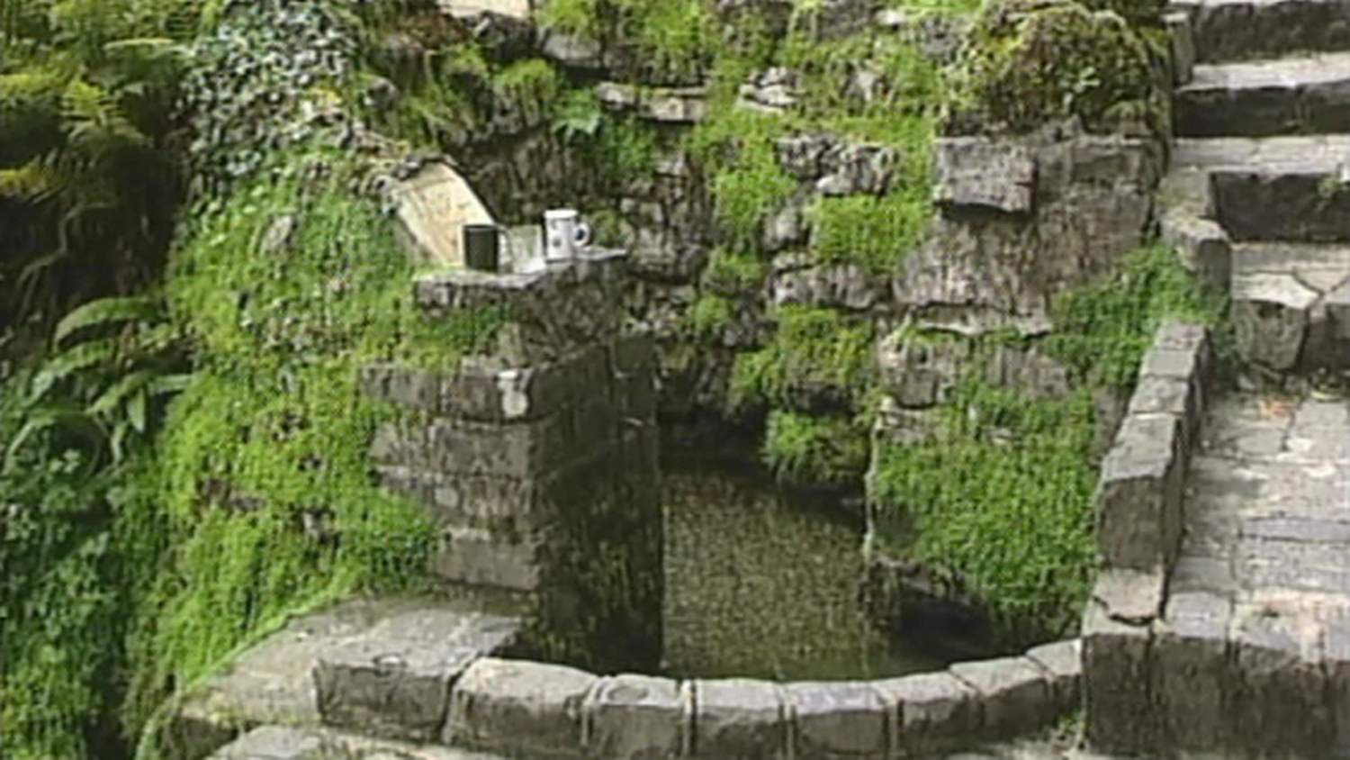 RTÉ Archives | Religion | Ireland's Holy Wells