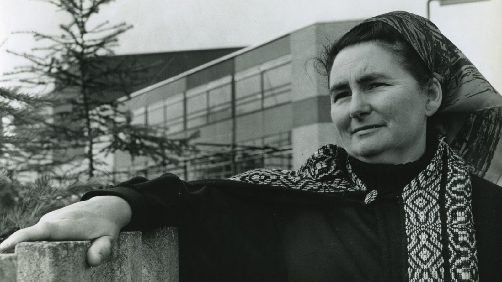 Fierce Love: The Life of Mary O'Malley - read an extract