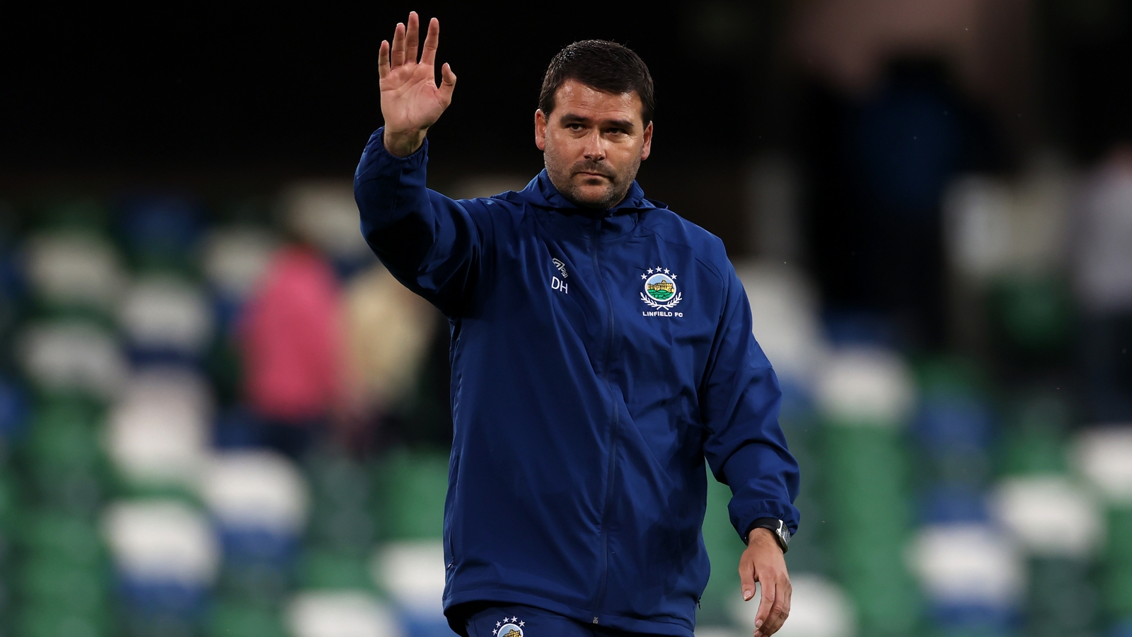 Northern Ireland job too soon for me - Healy