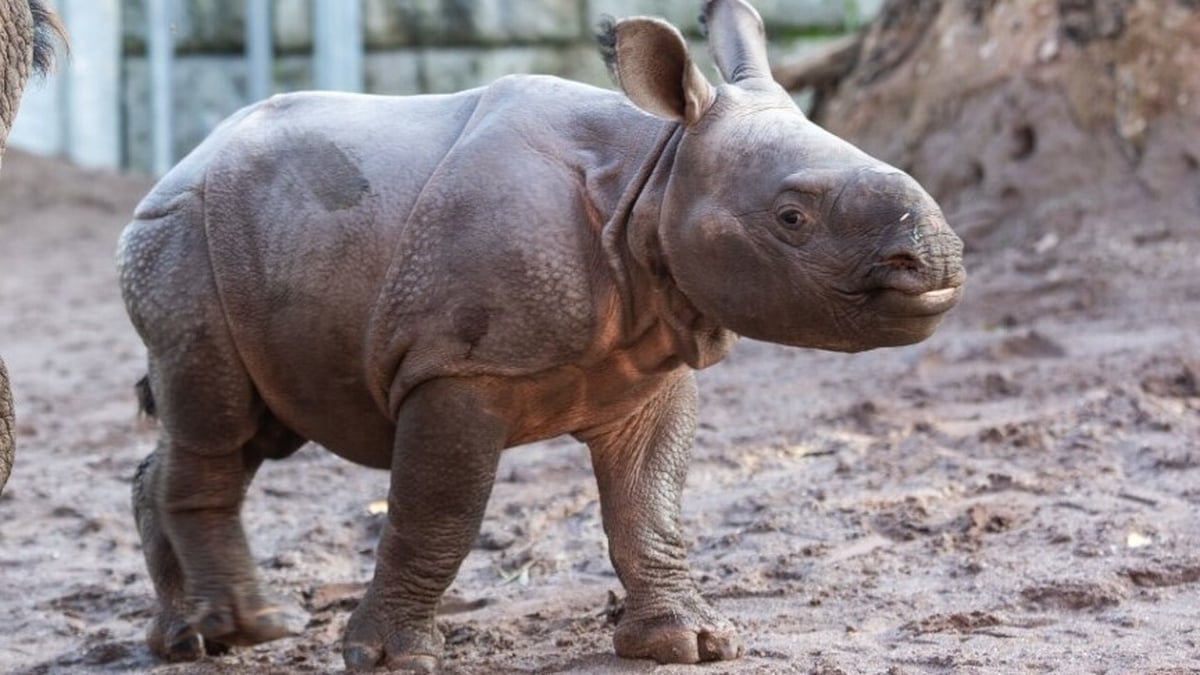 Mooney Goes Wild Monday 24 October 2022 - Mooney Goes Wild