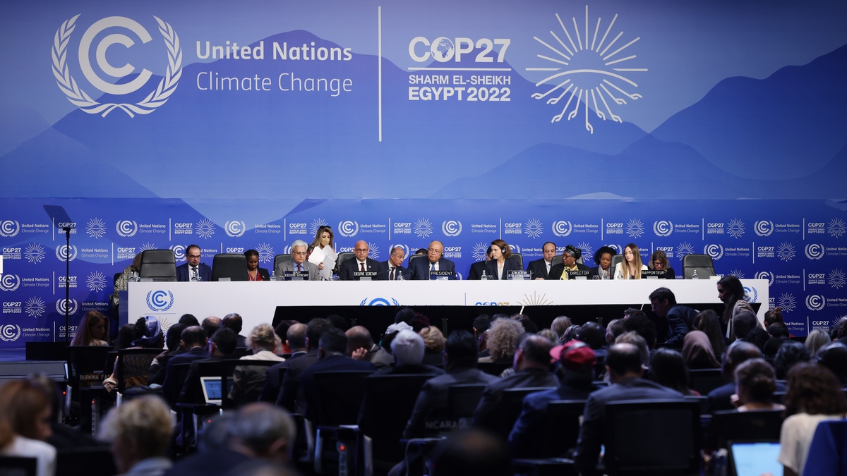 COP 27 begins but are we meeting our own targets at home? | Today with ...