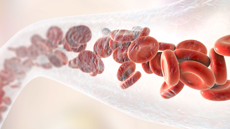 Lab-grown red blood cells transfused into person