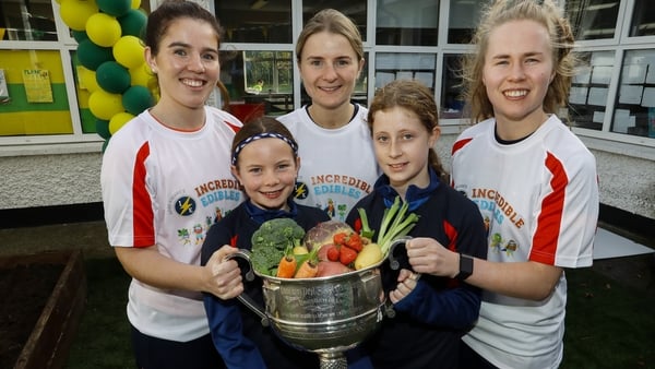 The official website of RTÉjr & RTÉ Kids Online - Streaming shows ...