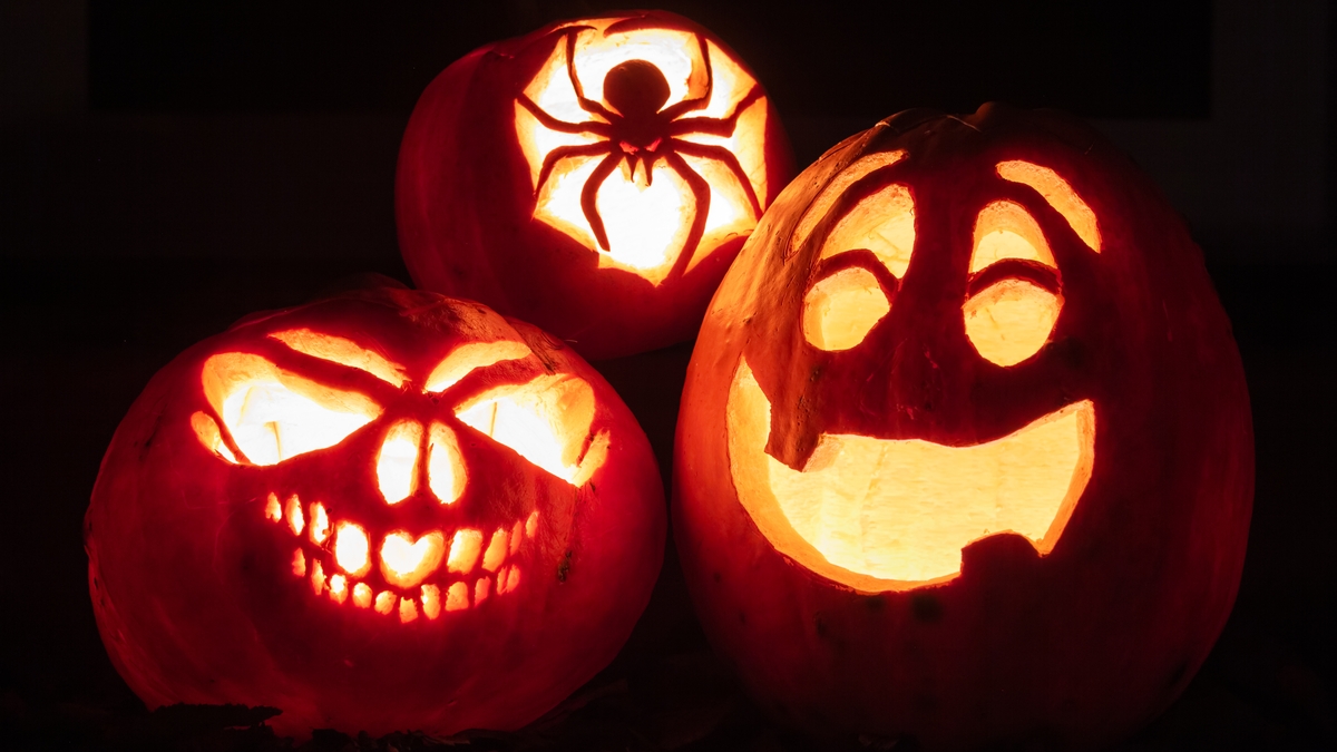 Mooney Goes Wild Monday 14 November 2022 - Mooney Goes Wild