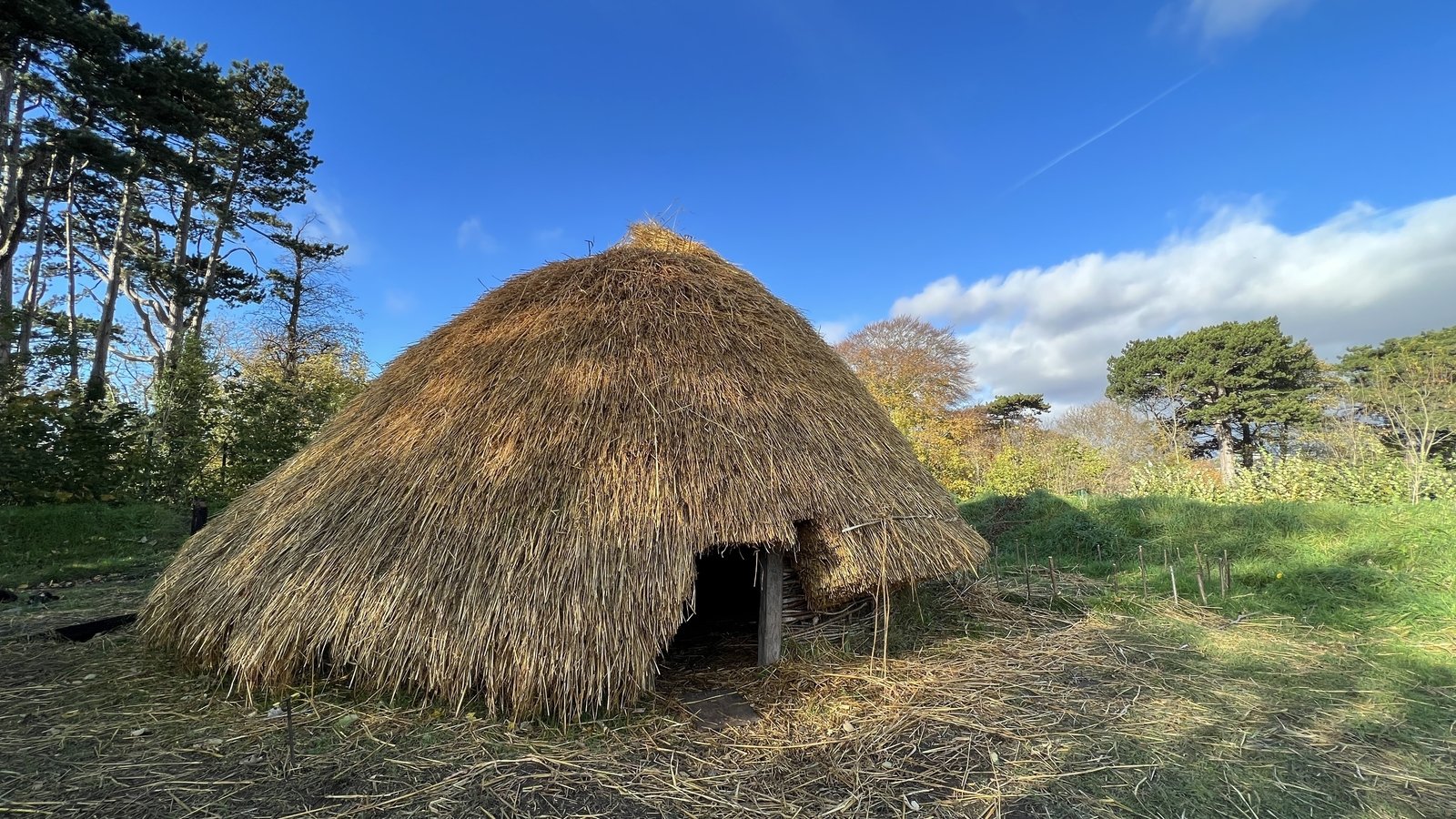 Medieval roundhouse build nears completion at UCD