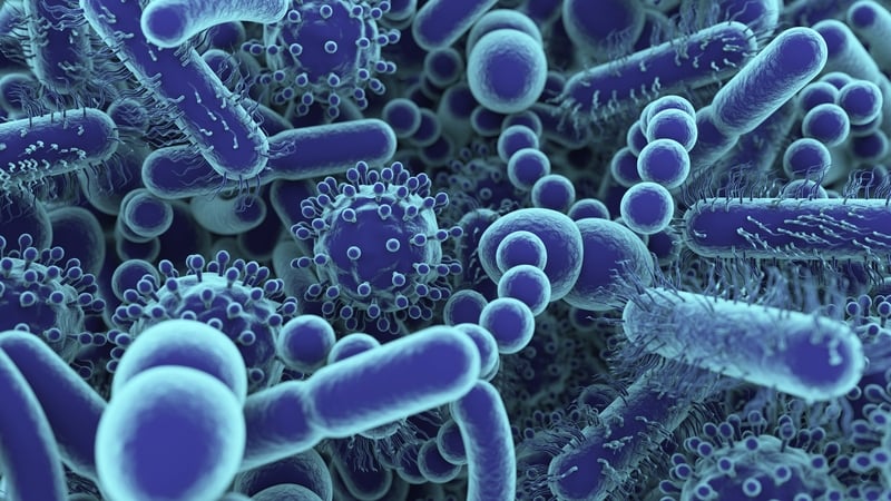 WHO identifying potential pandemic pathogens