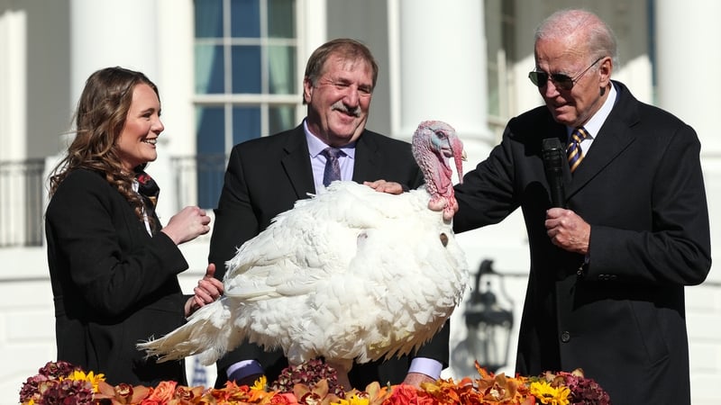 US President pardons two Thanksgiving turkeys