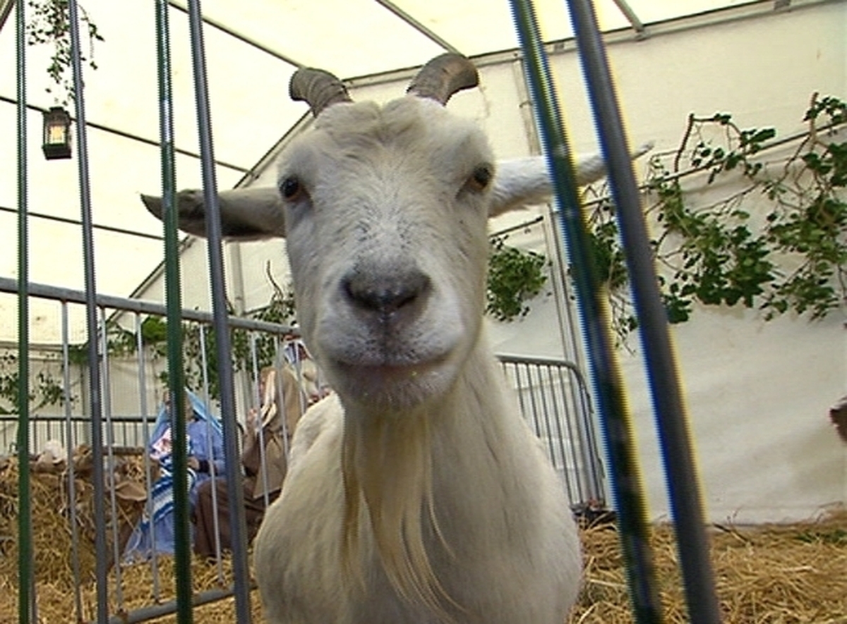 Live crib returns to Dublin city centre | Today with Claire Byrne - RTÉ ...