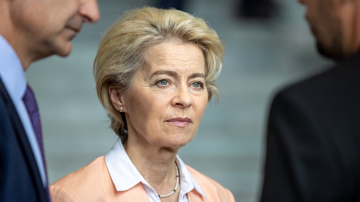 Von der Leyen marks 50 years of Ireland's membership of the European ...