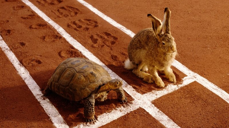 The many variations on The Tortoise and the Hare