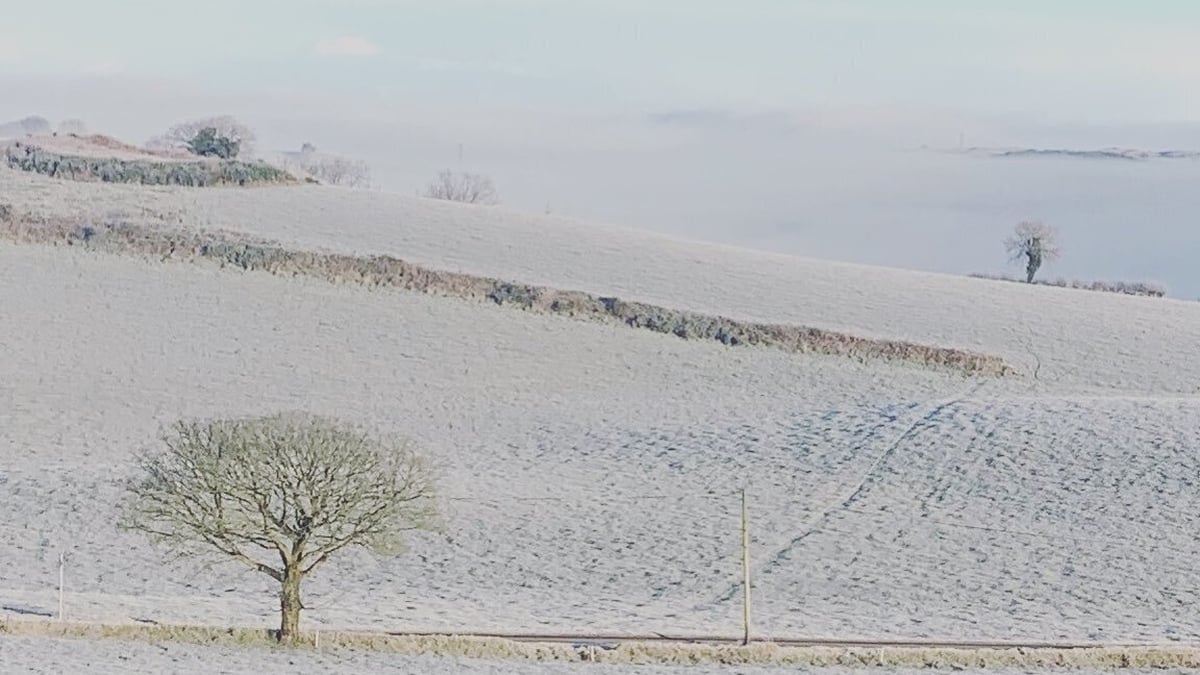 Farming in Ireland during freezing weather | CountryWide - RTÉ Radio 1