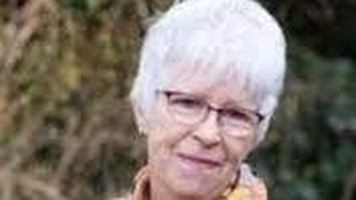 Mary Sheehy's Instagram, Twitter & Facebook on IDCrawl