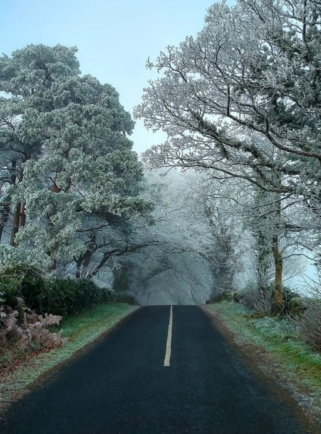 Cold Snaps - Your photos from the freezing weather