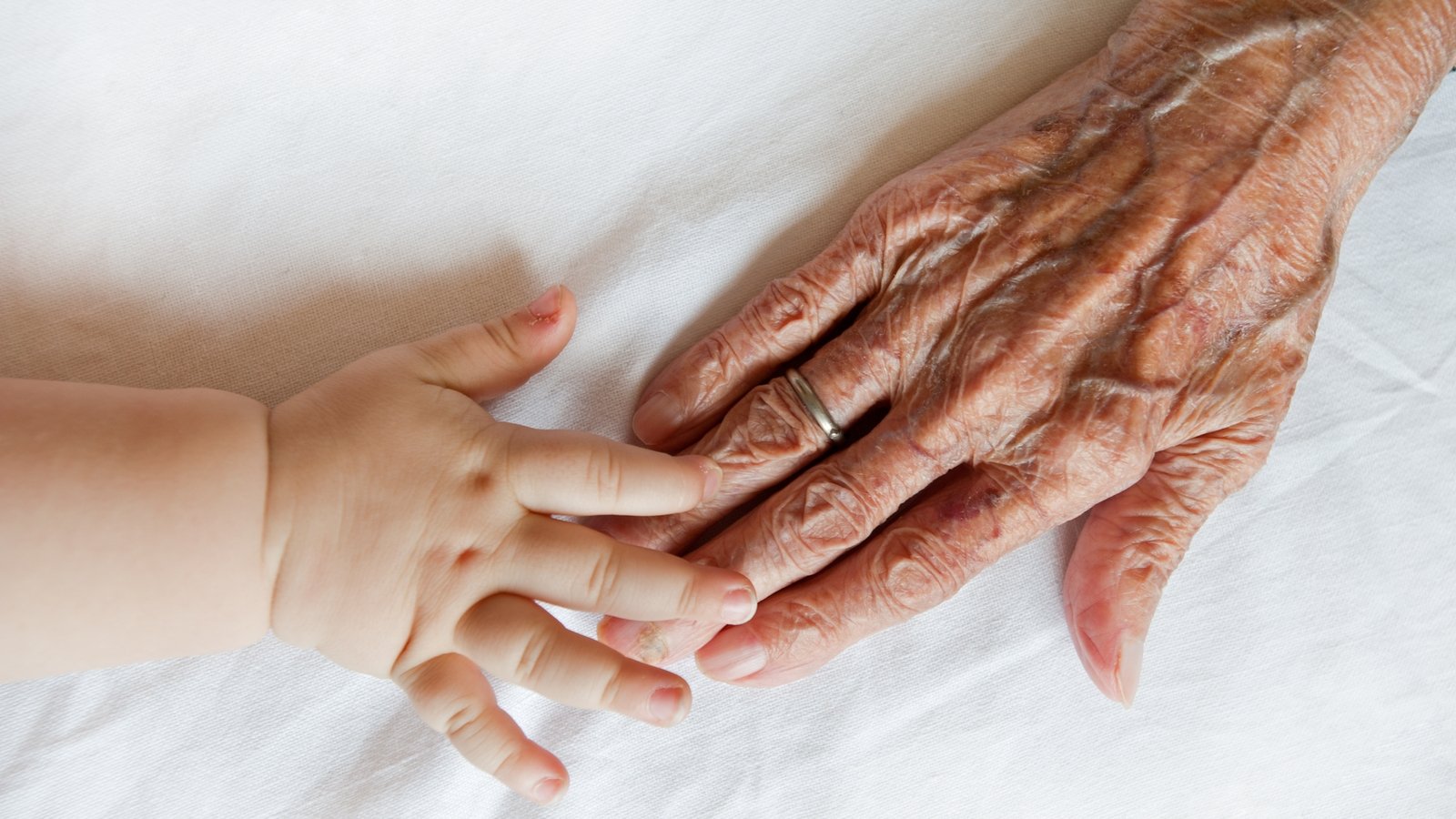 Ireland has highest life expectancy in EU - report