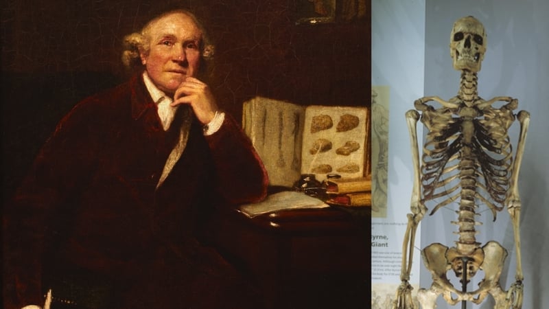 Skeleton of 'Irish Giant' removed from public display