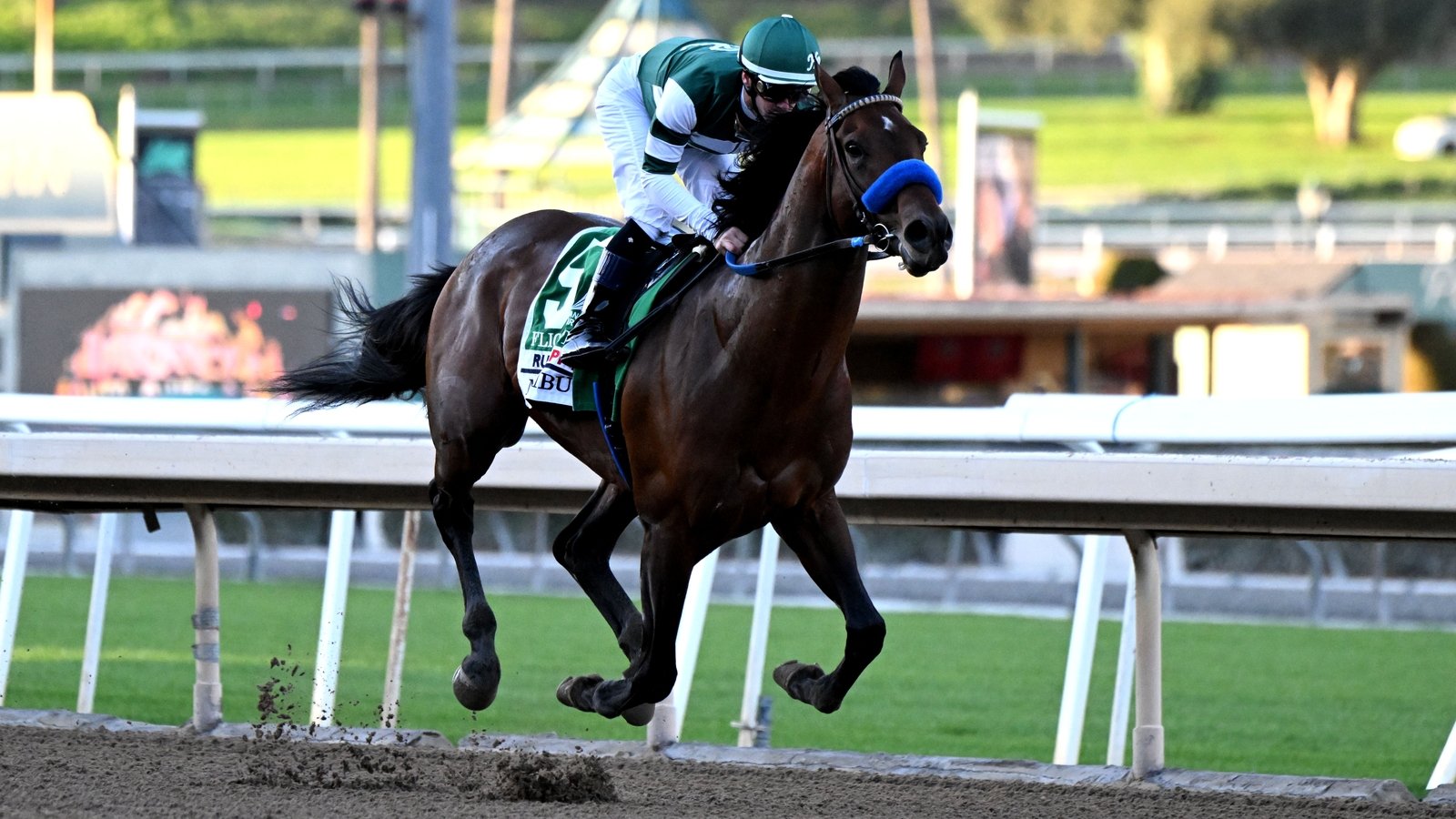 Flightline rated the equal of Frankel