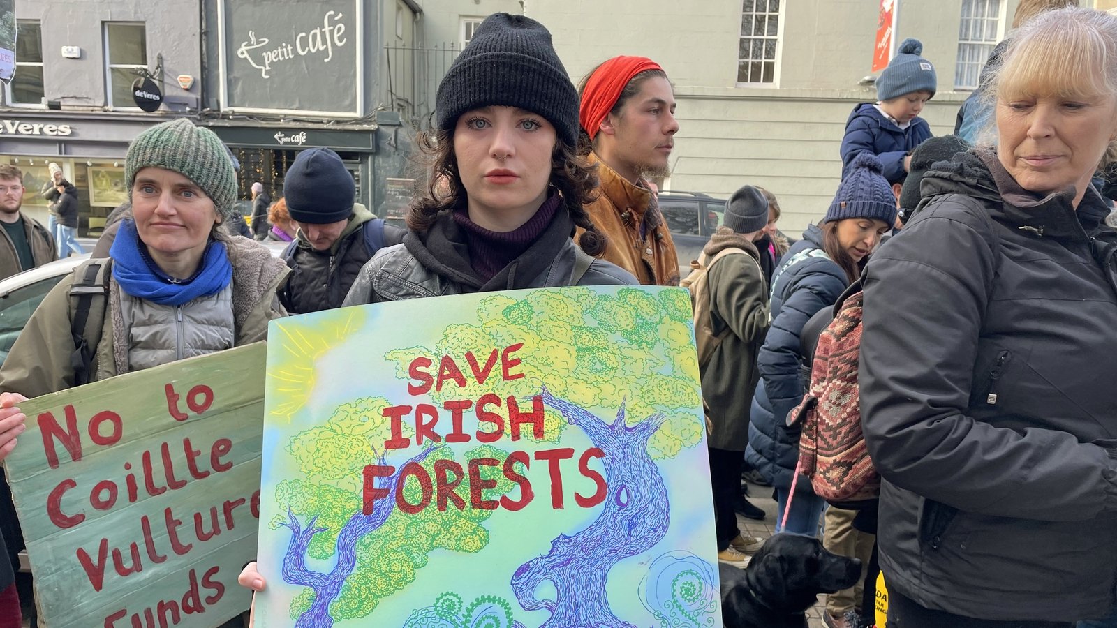 Hundreds protest Coillte deal at Leinster House