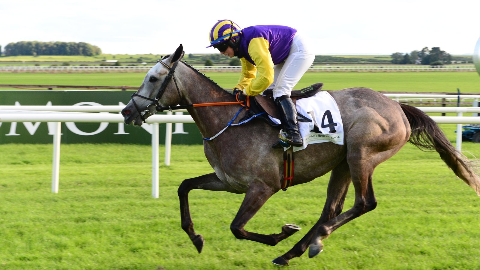 Princess Zoe dead-heats on hurdling debut