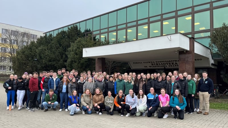 Why are there so many Irish vet students in Poland?