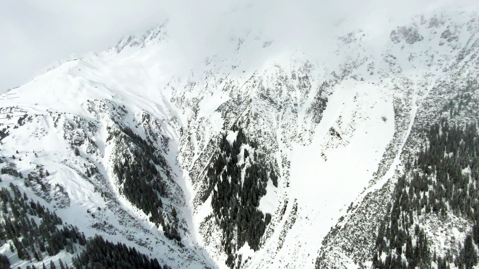 Avalanches in Austria and Switzerland leave five dead