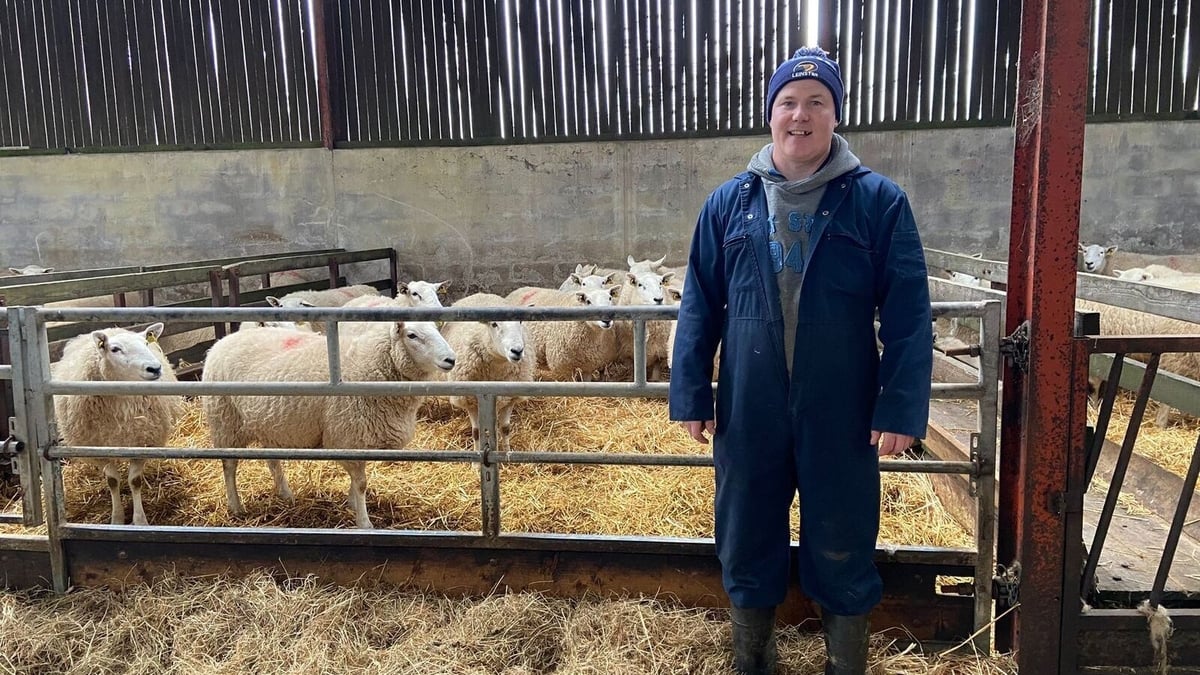 Life Of A Sheep Farmer | The Ray D'Arcy Show - RTÉ Radio 1