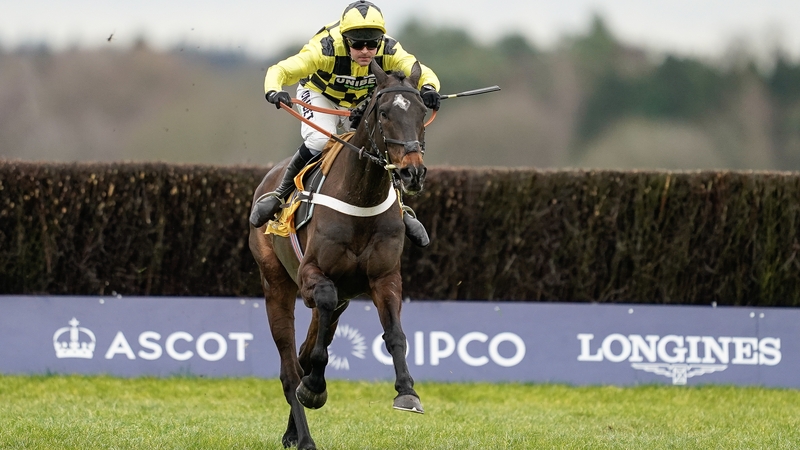 Shishkin already in bloom for Nirvana comeback at Ascot