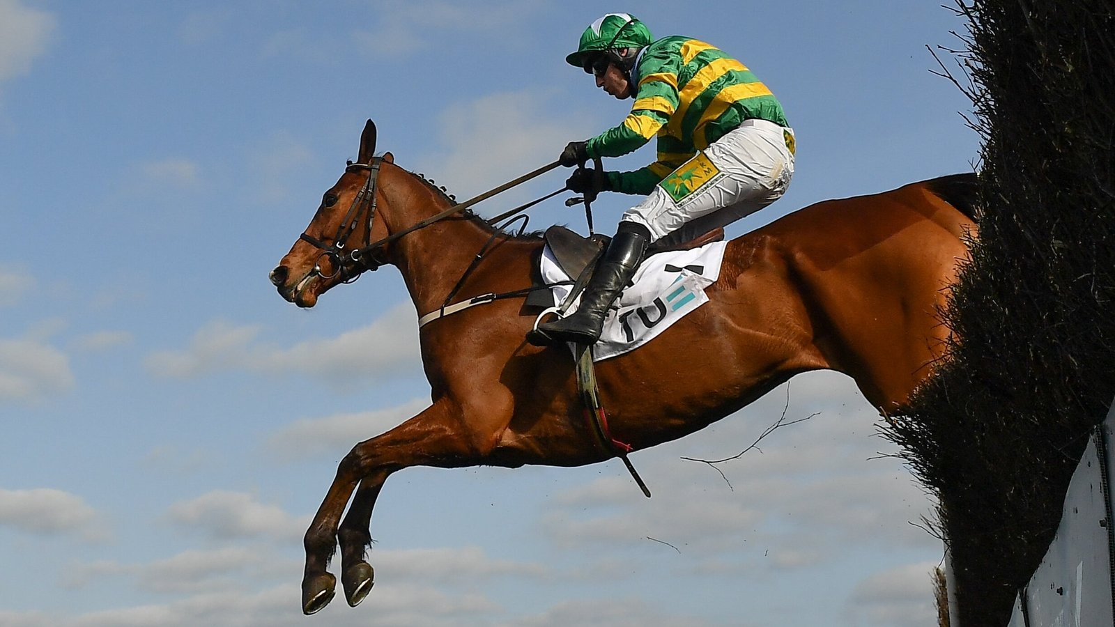 Janidil wins feature at Gowran Park