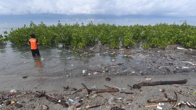 Don't lose sight of climate-related risks: Central Bank