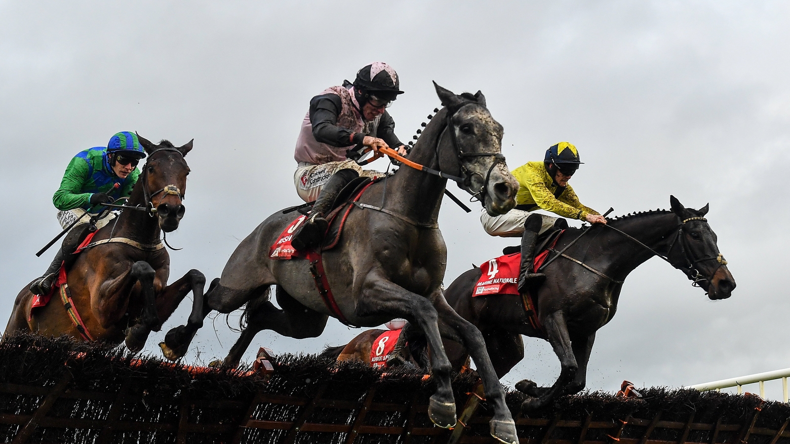 Irish Point lands easy win at Naas for Elliott