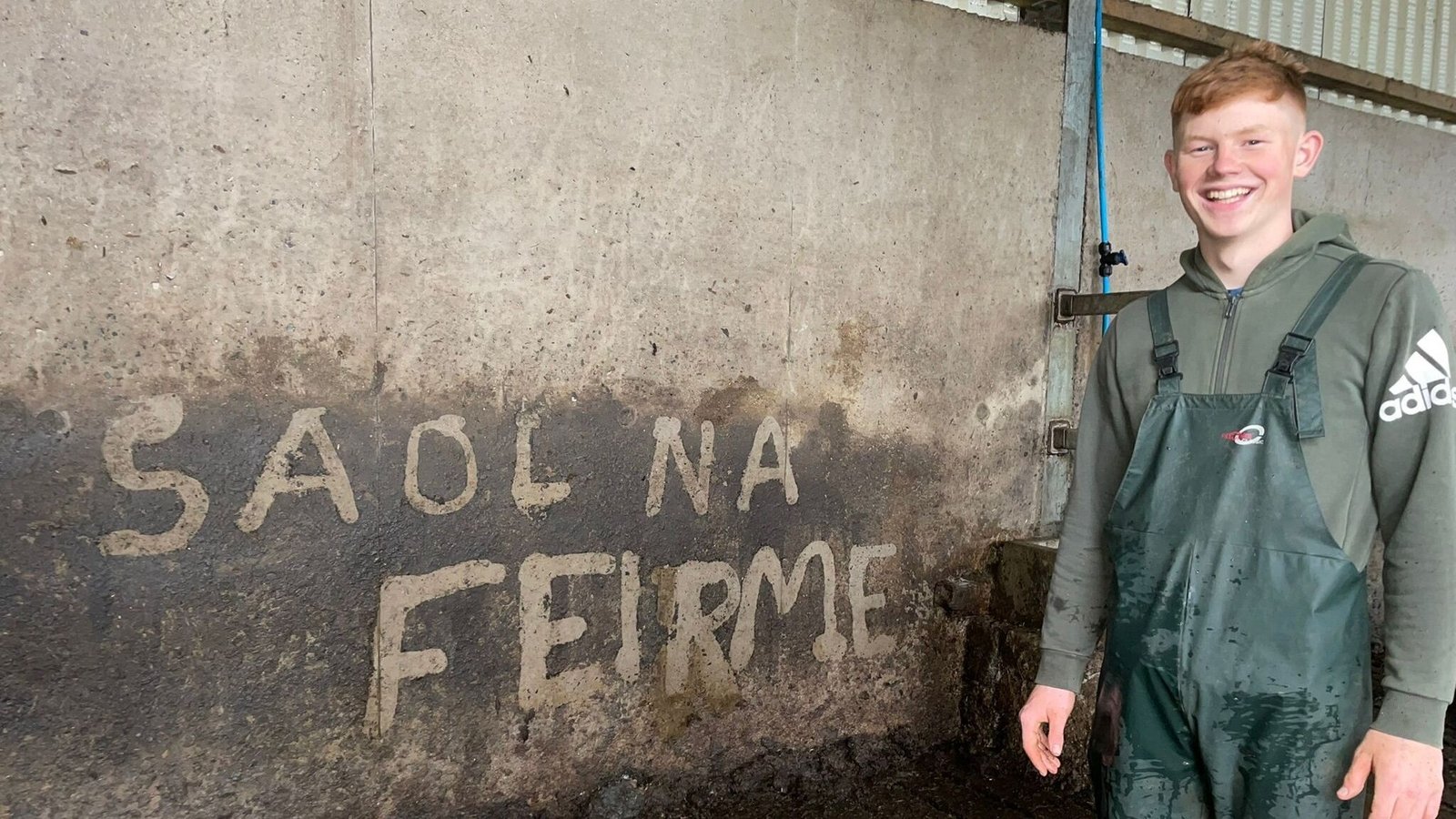 What does modern Irish farming look like today?