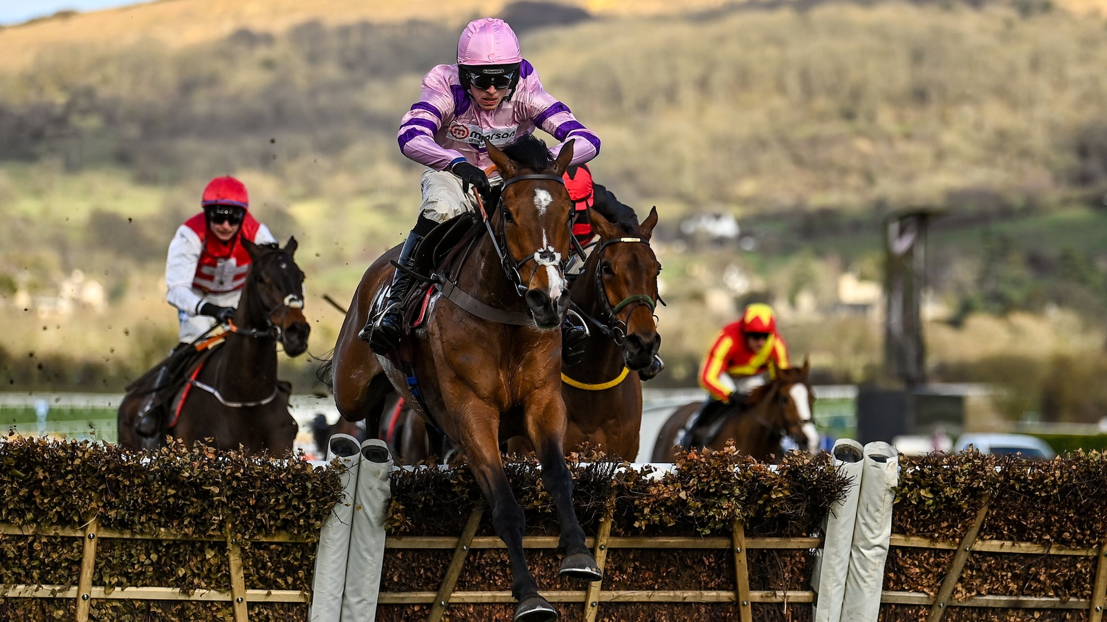 Stay Away Fay a long-odds winner of Albert Bartlett