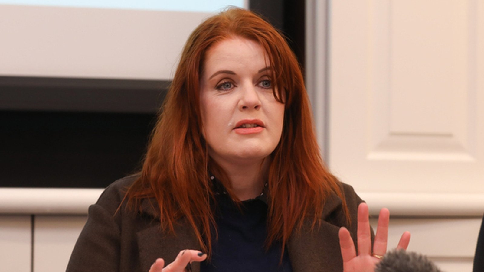 Hourigan suspended from Green Party after Dáil vote