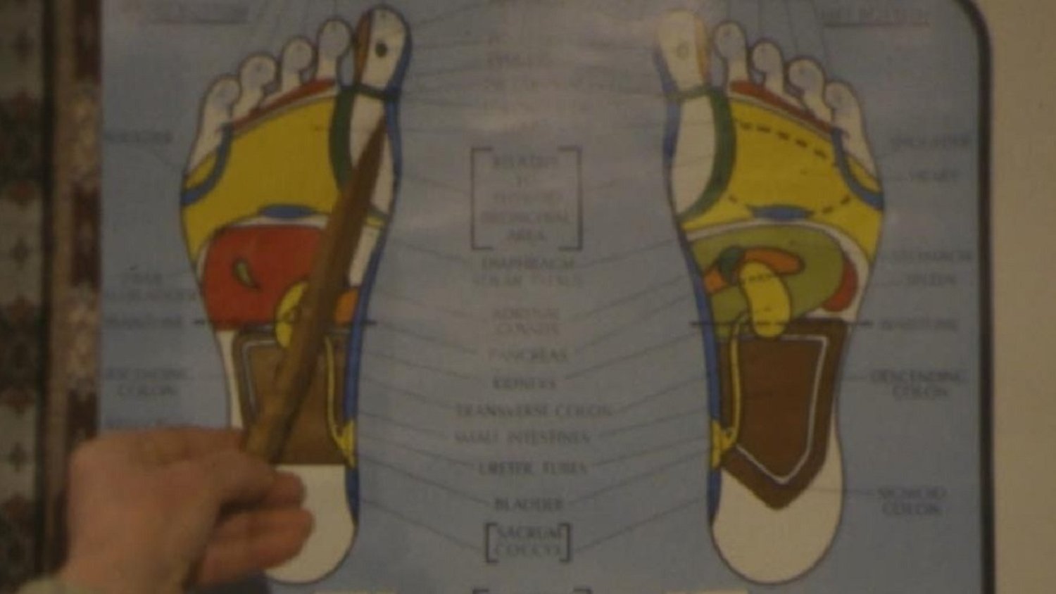 RTÉ Archives | Health | The Theory Of Reflexology