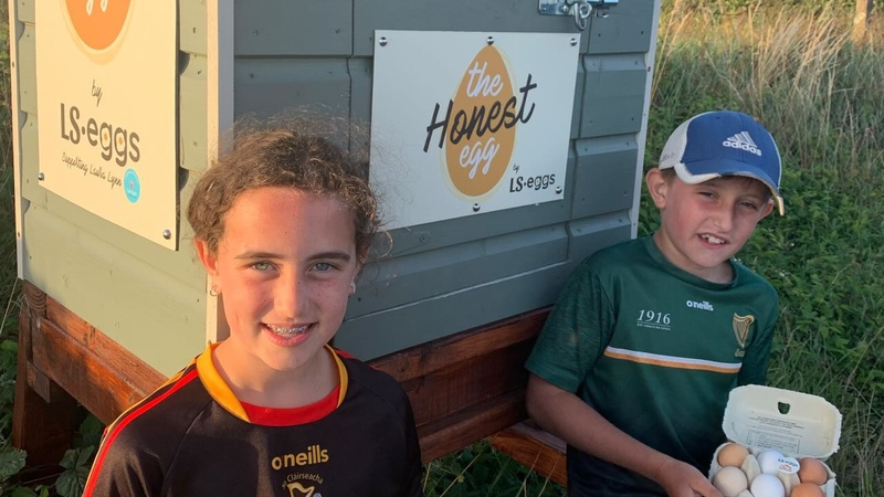 Honesty boxing clever - Laois siblings back in business