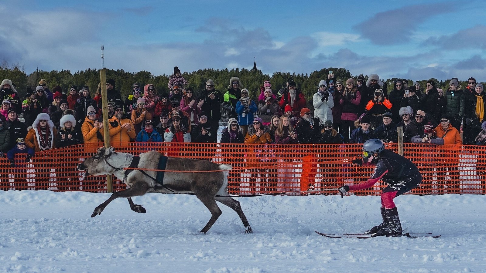 Reindeer racing king crowned in Arctic tournament