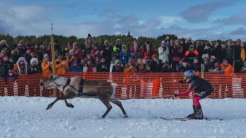 Reindeer racing king crowned in Arctic tournament