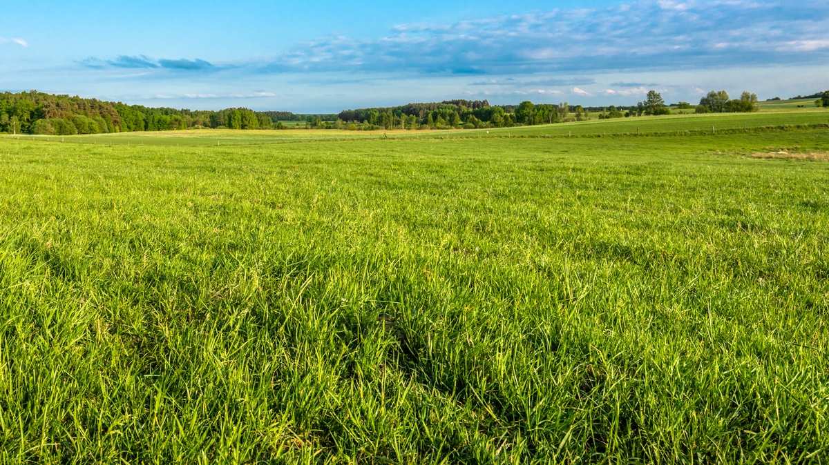 Breandán Mac Gearailt, Comhairleoir Contae. | Adhmhaidin - RTÉ Raidió ...