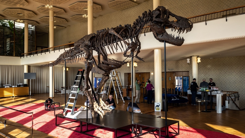Trinity the T-Rex claws in more than €5m