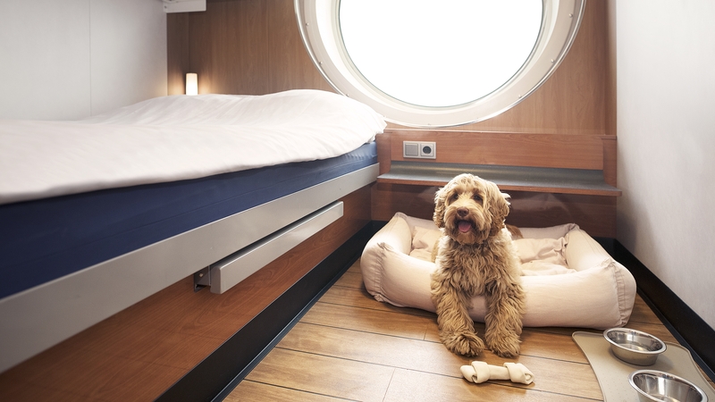 Stena Line to open pet-friendly cabins on Irish routes