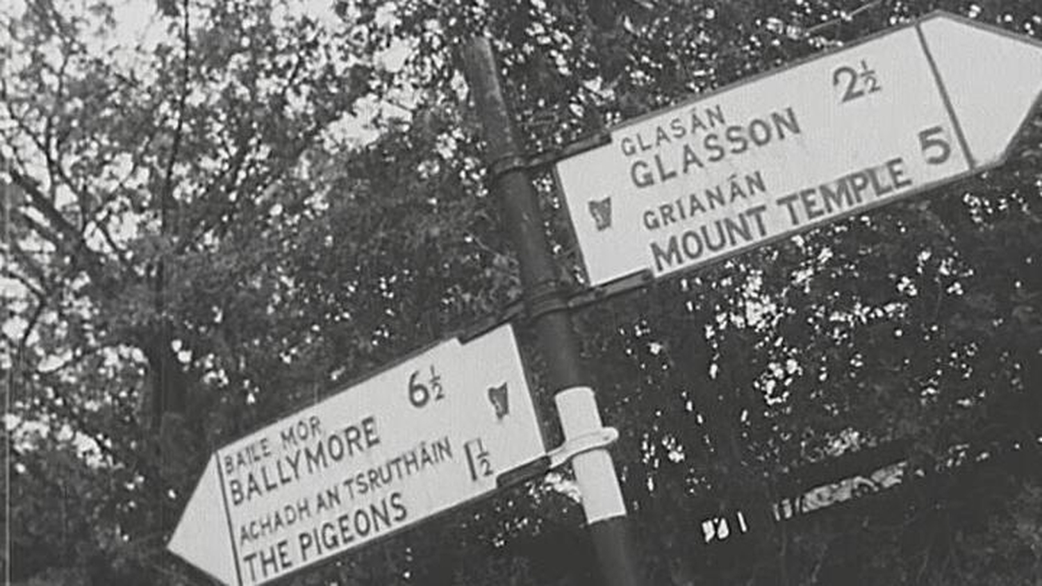 RTÉ Archives | Arts and Culture | Oliver Goldsmith Country