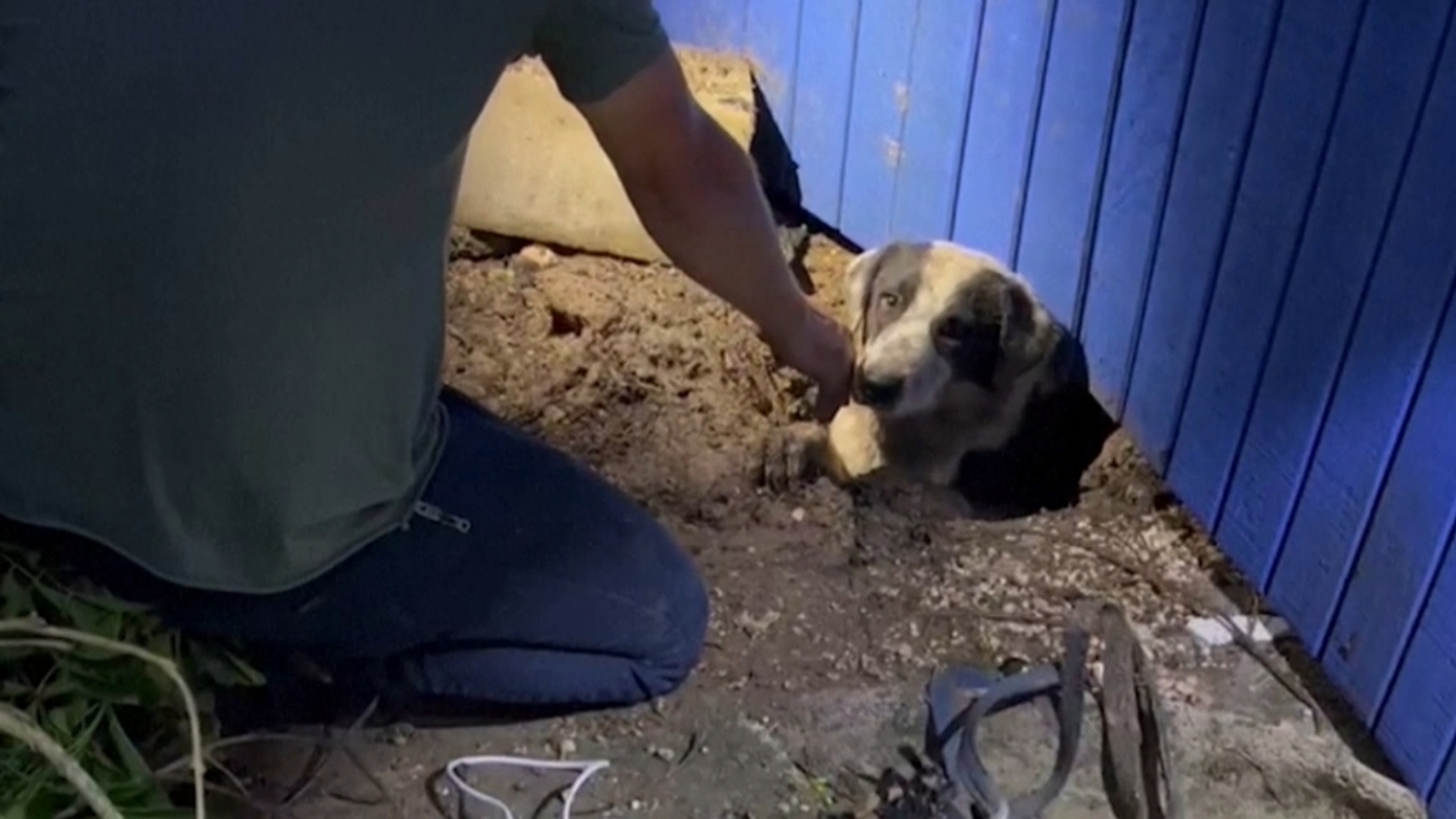 Trapped dog rescued by news crew covering Texas tornado