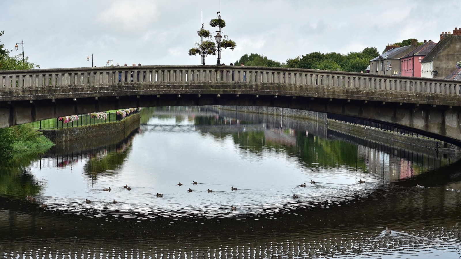 Harmful levels of antibiotics found in Irish rivers