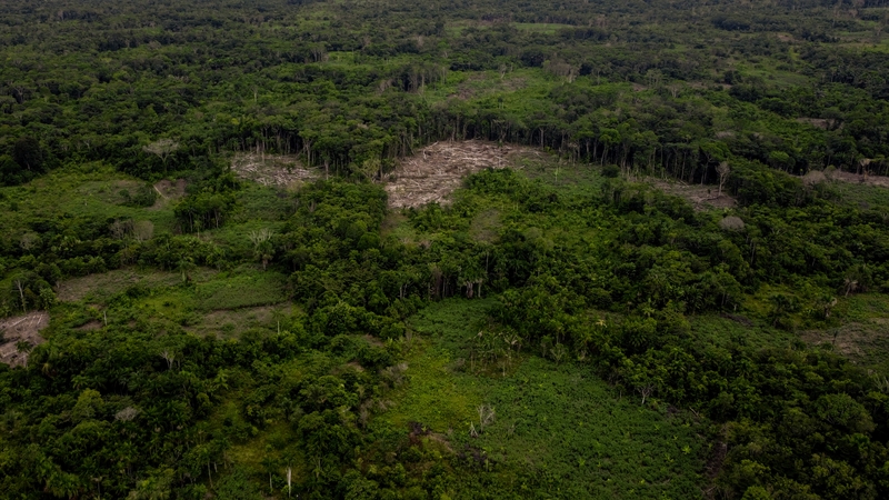 Four children found alive in Amazon after plane crash
