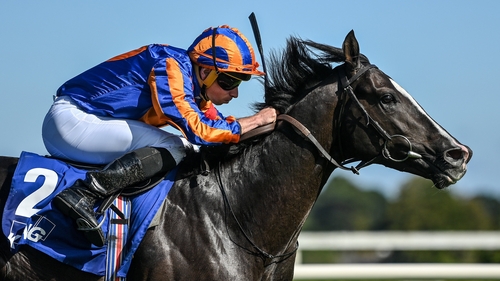 Auguste Rodin heads field of nine in Irish Derby