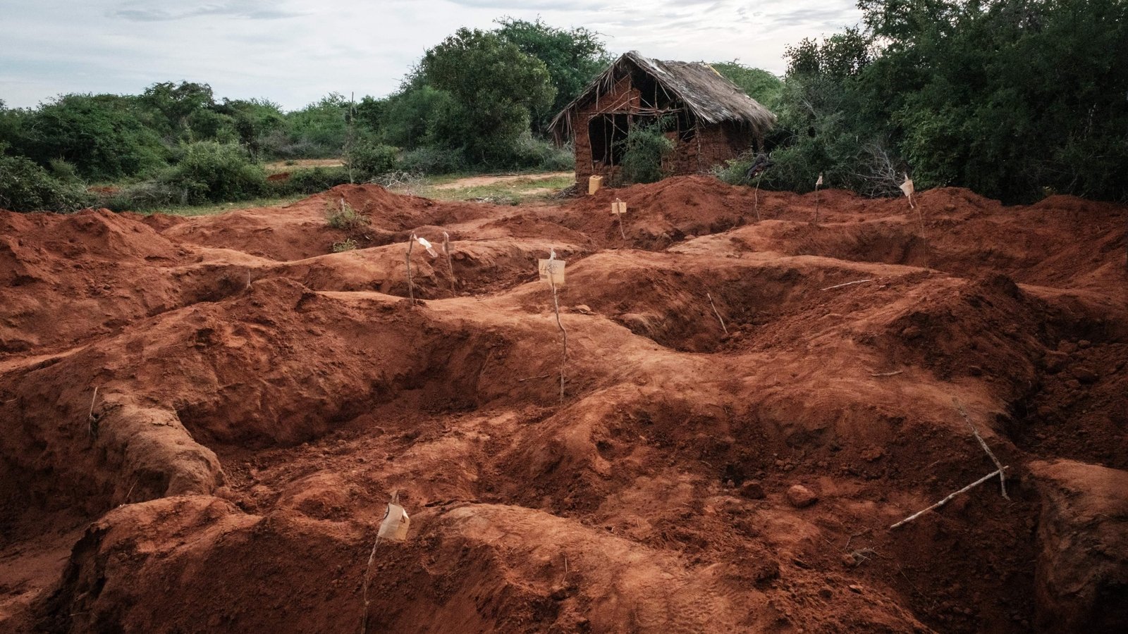Kenya to convert cult forest into memorial site