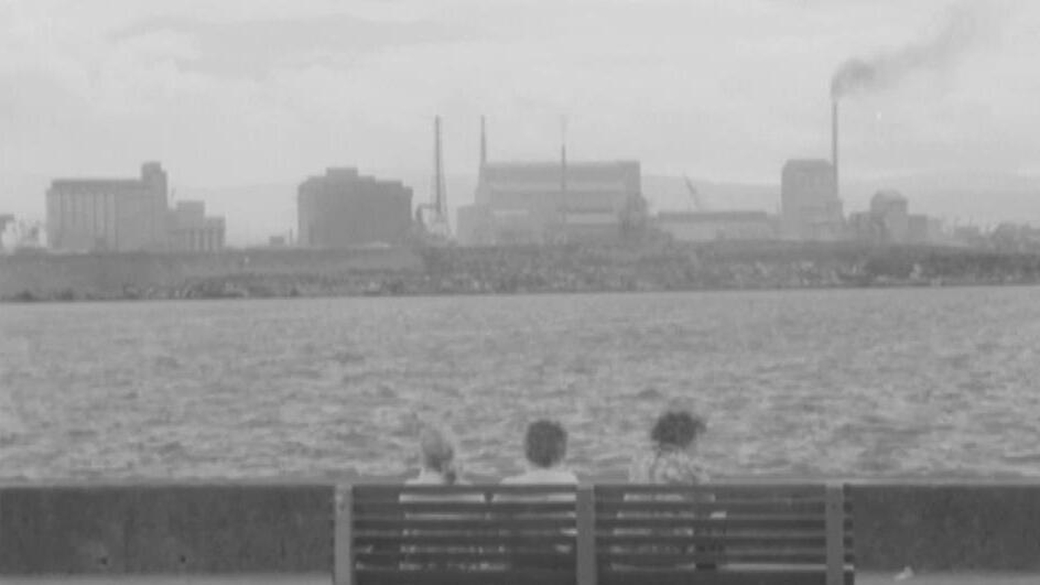 RTÉ Archives | Environment | Dublin Bay Special Amenity Area?