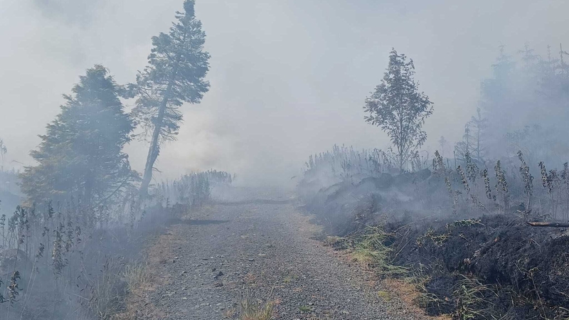 Irish Air Corps deployed to tackle Antrim gorse fire