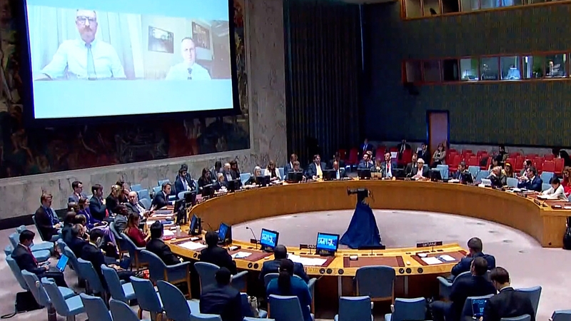 Who is Chay Bowes and why did he speak at the UN?