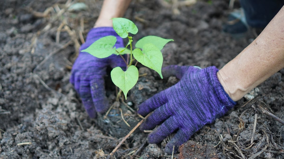 How to avoid the most common garden injuries | Today with Claire Byrne ...