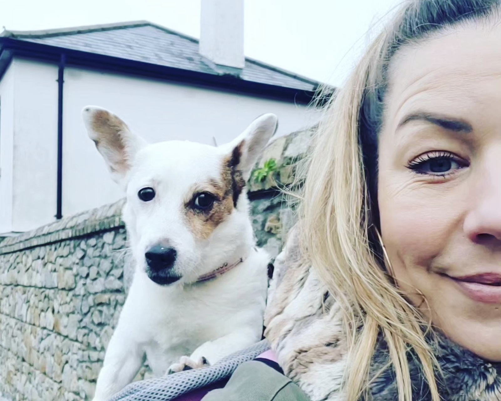 Sunday Miscellany on saying goodbye to the very best dog